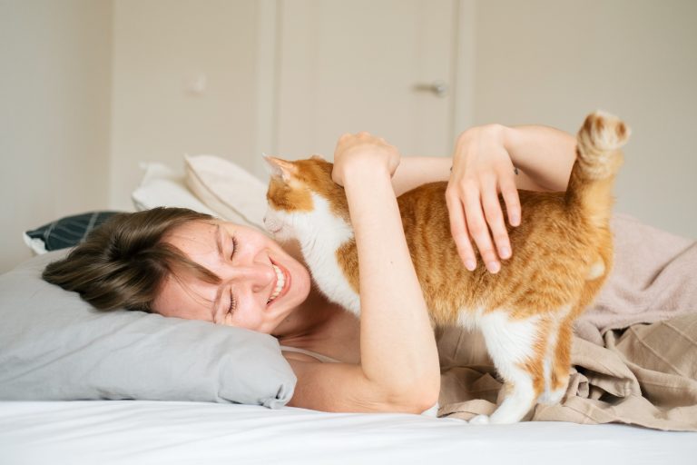 How Long Do Cats Mourn the Loss of Another Cat? Feline Grieving ...