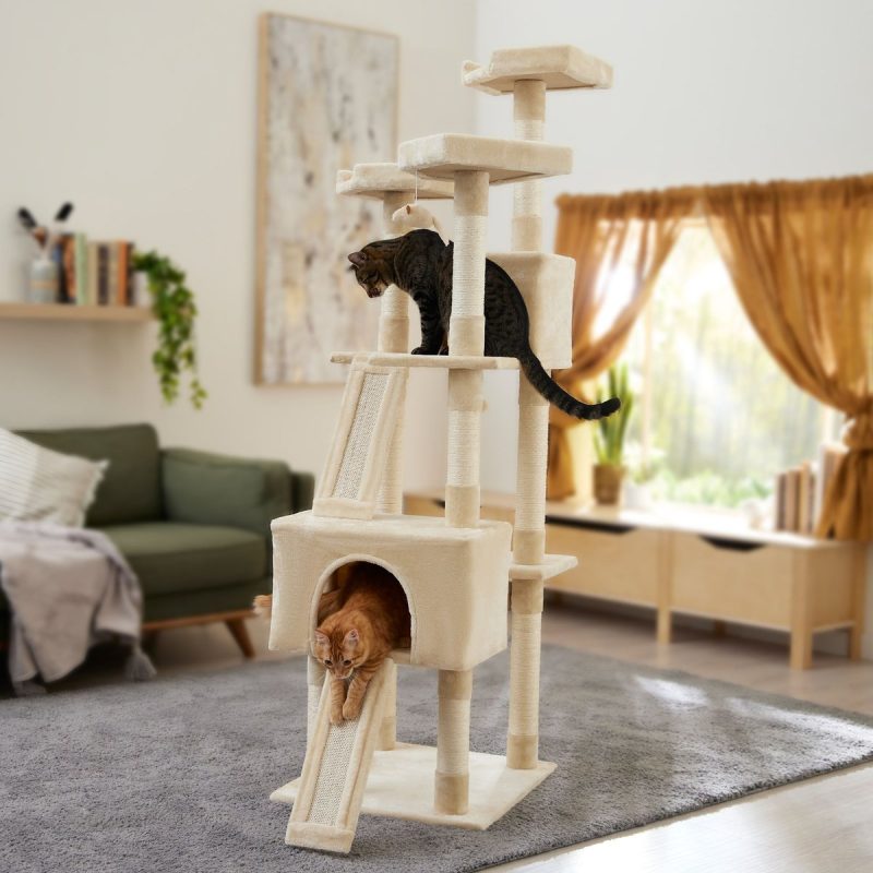 10 Ways to Give Your Cat Vertical Space (With Pictures) - Catster