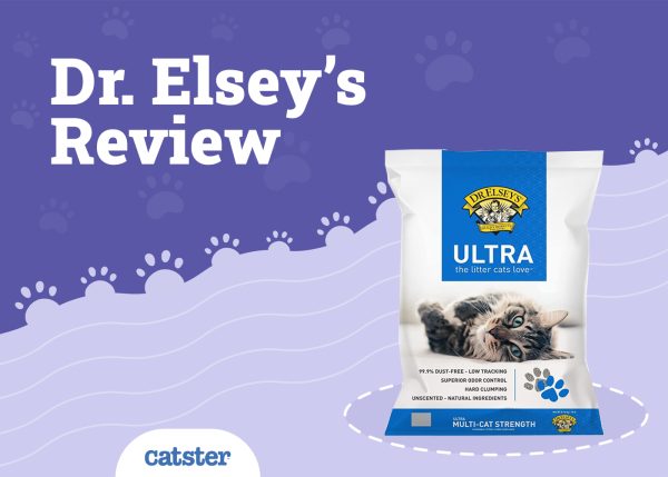 Dr. Elsey’s Cat Litter Review of 2025: Recalls, Pros & Cons - Catster