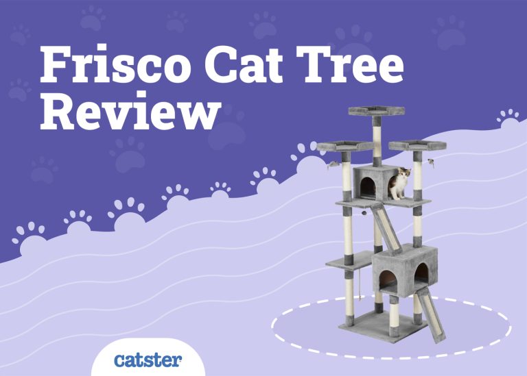 Frisco Cat Tree & Condo Review (2026 Update) - Catster