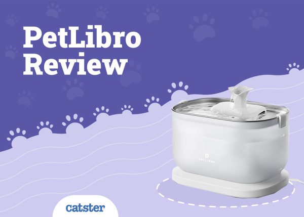 Petlibro Automatic Water Fountain 2026 Review (Pros, Cons & Features ...