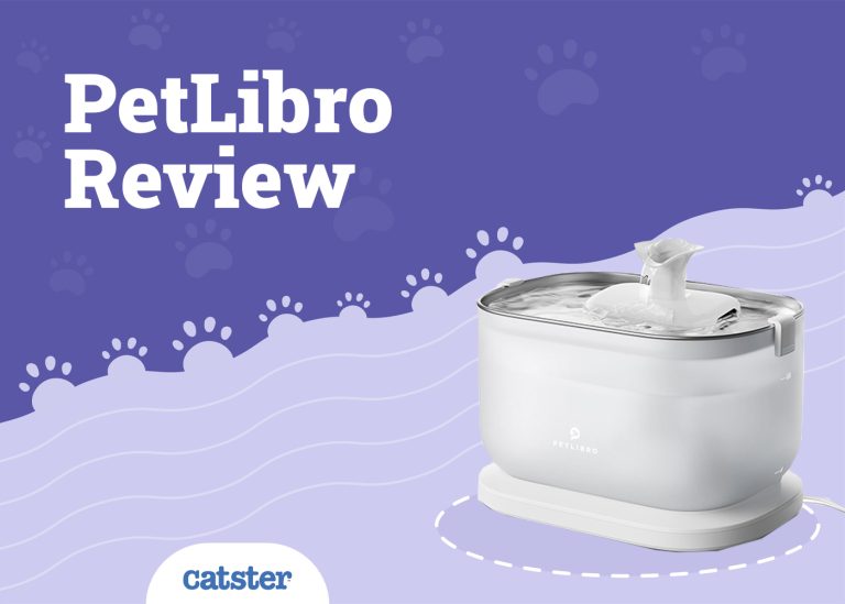 Petlibro Automatic Water Fountain 2026 Review (Pros, Cons & Features ...