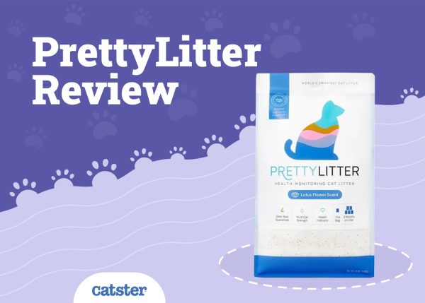 PrettyLitter Cat Litter Review of 2026: Vet-Reviewed Characteristics ...