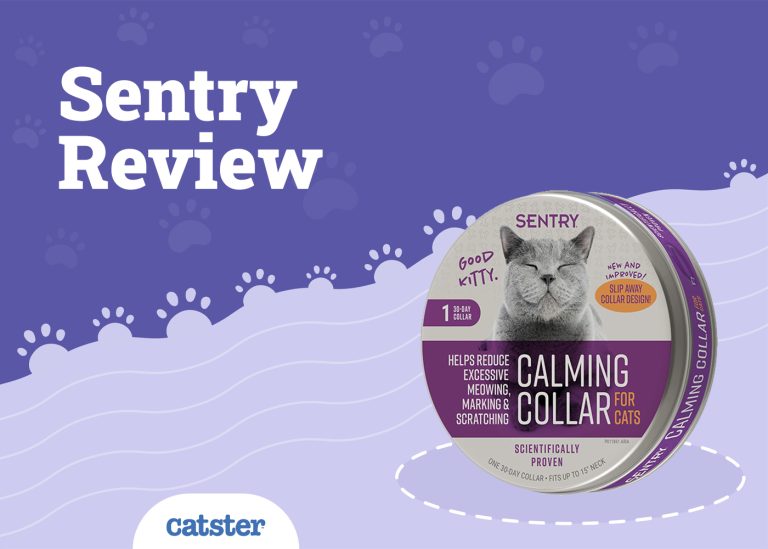 Sentry Calming Collar for Cats Review 2025: Pros, Cons & FAQ - Catster