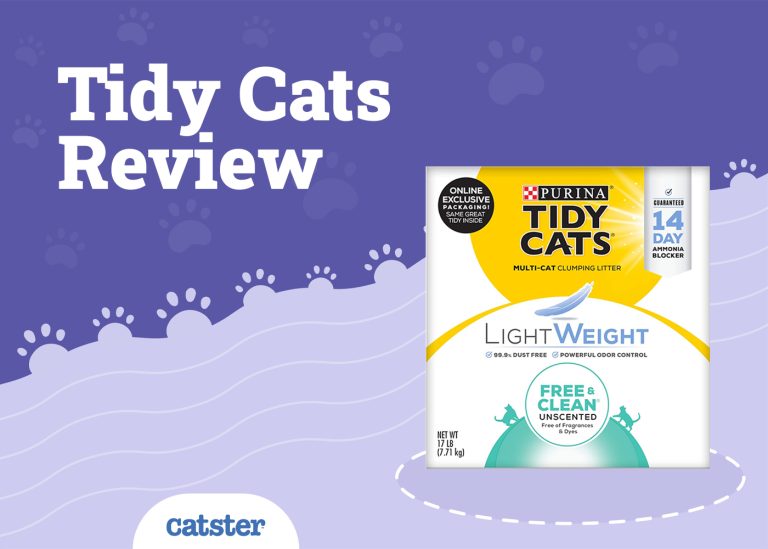 Tidy Cats Litter Review in 2026: Recalls, Pros & Cons - Catster