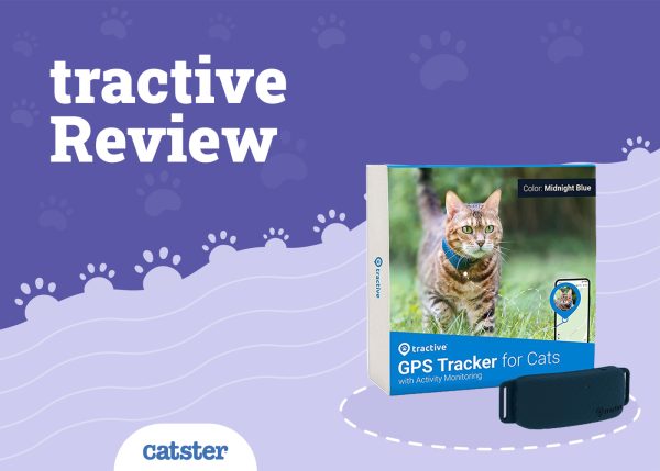 Tractive GPS Tracker for Cats Review in 2026: Our Expert’s Opinion ...