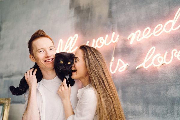 10 Places to Take Your Cat for Fun: Must-See Attractions for Crazy Cat ...