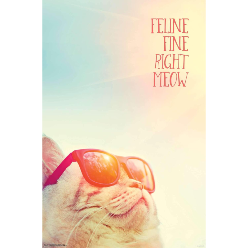 14 Fun Cat Posters For Kids' Bedrooms: Funny, Artistic & Cute Options ...