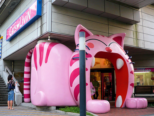 Cats Livin — A Tokyo Store Where Cats are Royalty! - Catster
