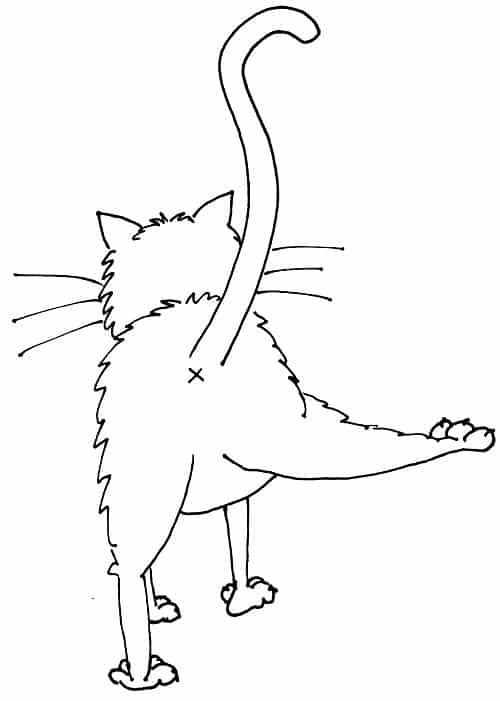 Newsflash: Pets Pose Tripping Hazard - Catster