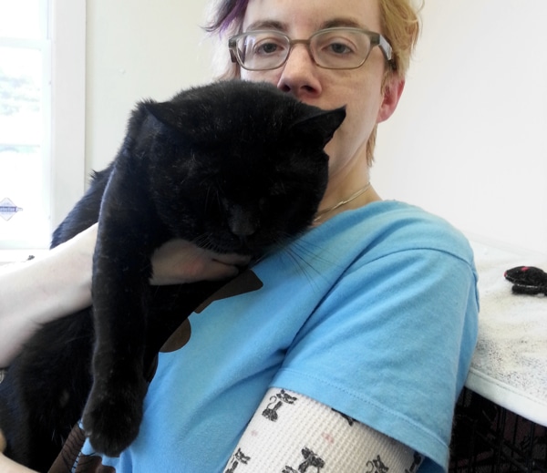 6 Reasons Cat Sitting Jobs Are Awesome - Catster