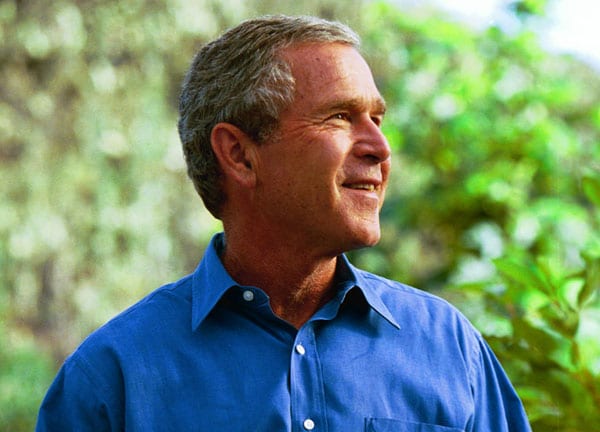 George W Bush Paintings Cat