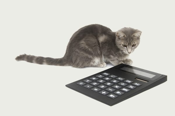 8 Tax Deductions Your Cats Can Claim - Catster