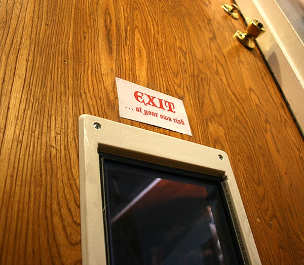 Ask a Vet: Do Catios Eliminate Outdoor Risks for Cats? - Catster