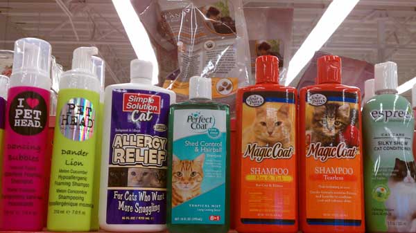 Is Your Cat's Shampoo Poisonous? - Catster