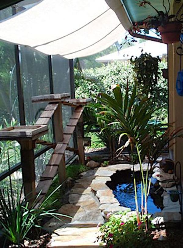 Are Any of These Luxury Cat Items Really Worth Your Buck? - Catster