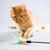 5 Reasons You Should Play with Your Cat Every Day - Catster