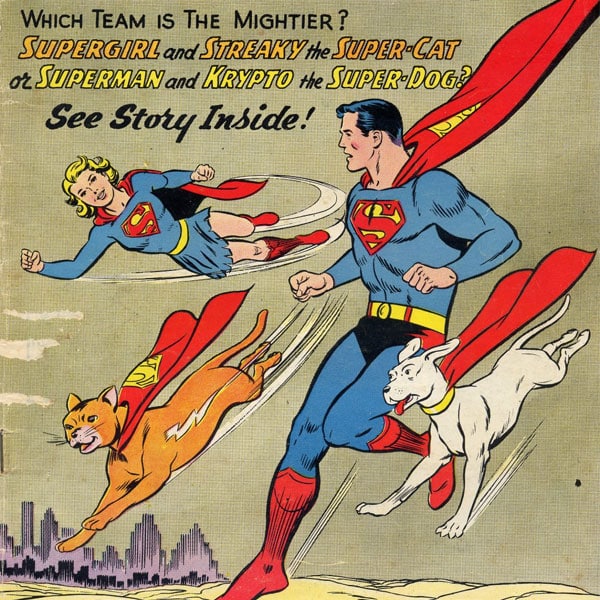 5 Amazing Comic Book Cats (With Pictures) - Catster