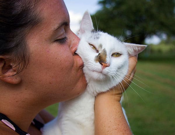 Cats Making Funny Faces