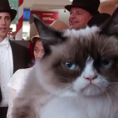 The 5 Best Moments From the Grumpy Cat Movie Trailer - Catster