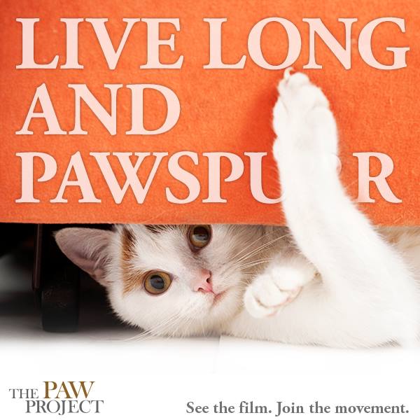 Paw Project Quotes