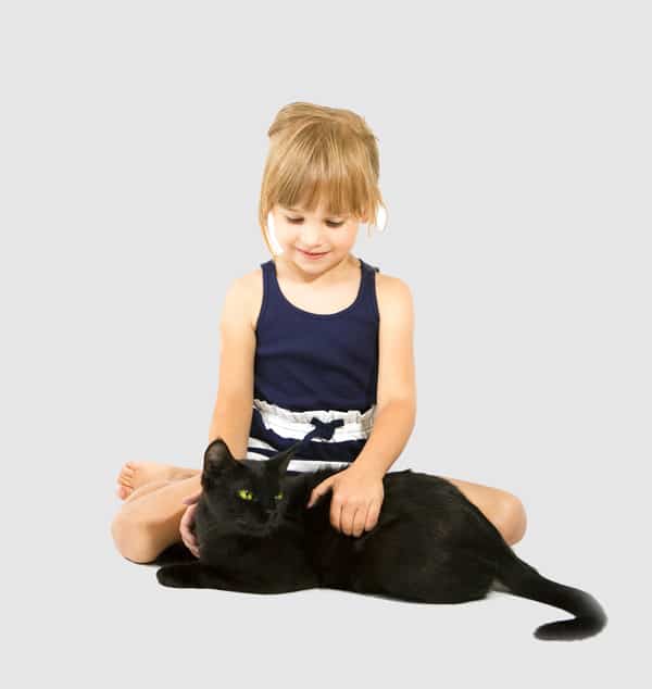 5 Tips to Teach Your Kids to Approach Unfamiliar Cats - Catster
