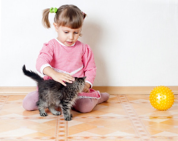 5 Tips to Teach Your Kids to Approach Unfamiliar Cats - Catster