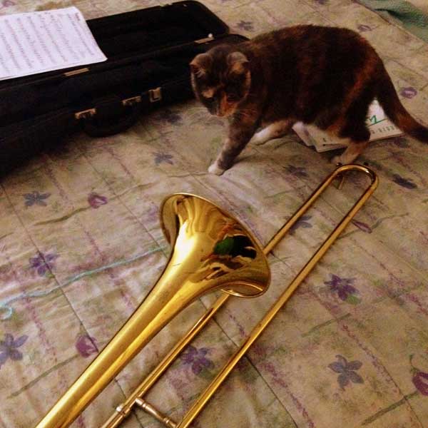 Cat Playing Trombone