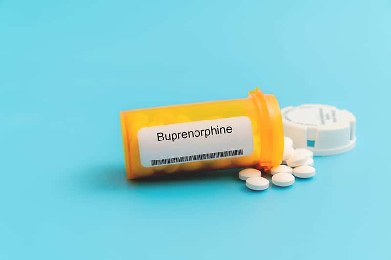 Buprenorphine for Cats: Usage, Dosage & Side Effects (Vet Answer) - Catster