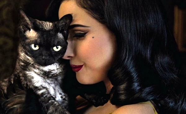 Meet Aleister, the Devilishly Dapper Cat of Dita Von Teese - Catster