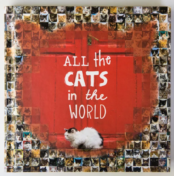 Jesse Hunter Visited 44 Countries for His Photo Book, "All the Cats in ...