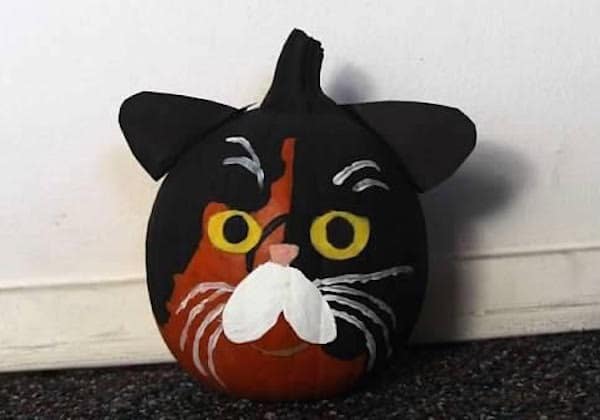 These 8 Halloween Pumpkins Are Painted Like Celebrity Cats Catster
