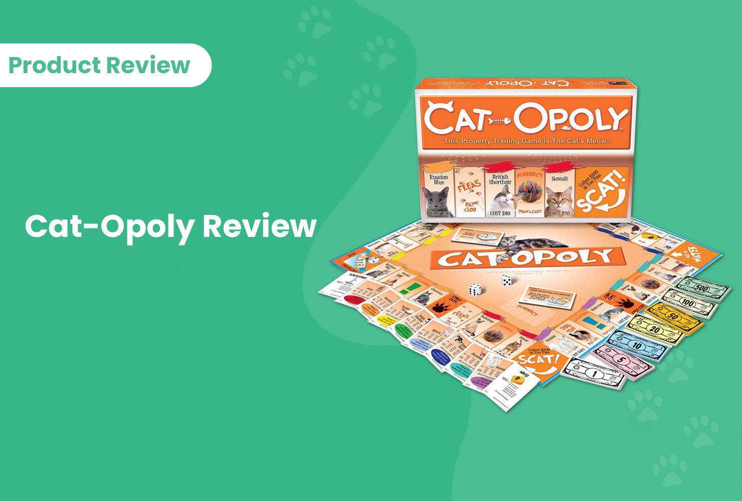 Cat-Opoly Review: The Cat Monopoly Game (2024 Review) - Catster