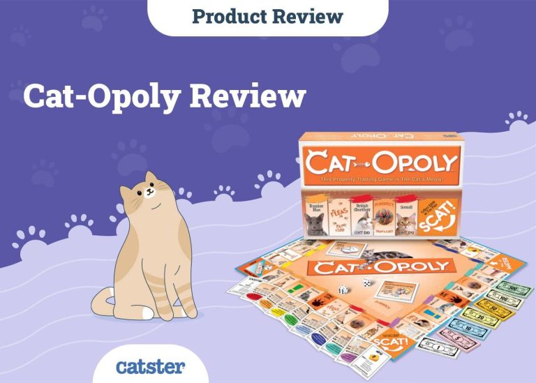 Cat-Opoly Review: The Cat Monopoly Game (2026 Review) - Catster