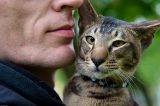 Why Do Cats Rub Their Faces on You? 3 Main Reasons - Catster