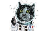 Félicette, The First Cat in Space: Her Story & Contribution to Science ...