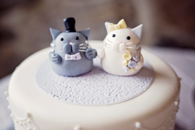 Cat Weddings: How To Incorporate Your Cat Into Your Wedding - Catster