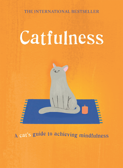 5 Cat Books to Add to Your Winter Reading List - Cat Empire