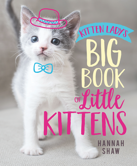 5 Cat Books to Add to Your Winter Reading List - Catster