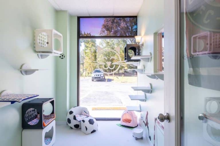 Happy Cat Hotel & Spa 2026 Review: Our Expert Opinion - Catster