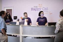Happy Cat Hotel & Spa 2026 Review: Our Expert Opinion - Catster
