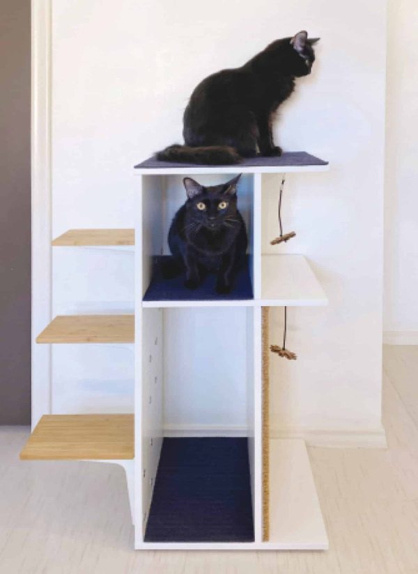 DIY Cat Climber You Can Make Today - Catster