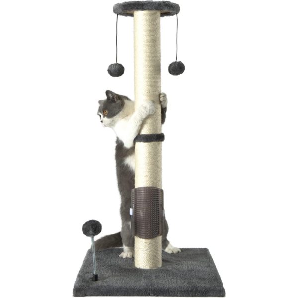 11 Best Tall Cat Scratching Posts In 2026 – Reviews & Top Picks - Catster