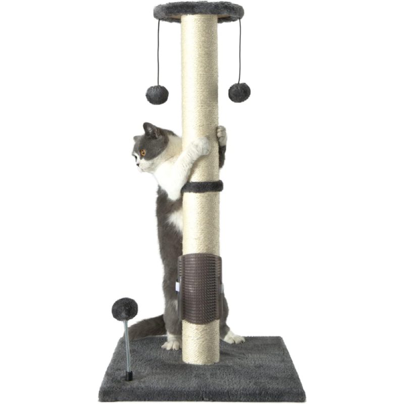 11 Best Tall Cat Scratching Posts In 2025 – Reviews & Top Picks - Catster