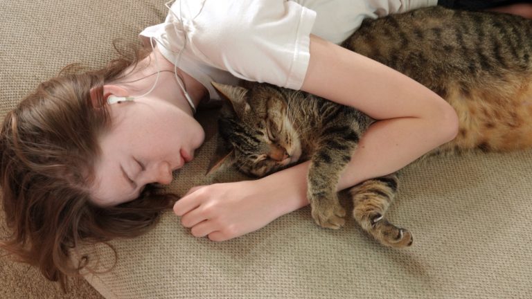 Why Does My Cat Lie on Me? 5 Vet-Reviewed Reasons - Catster