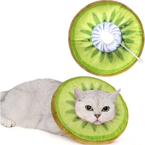 7 Best Cat Cone Collars of 2026: Reviews & Top Picks - Catster