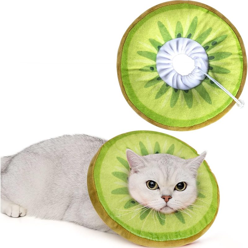 7 Best Cat Cone Collars of 2026: Reviews & Top Picks - Catster