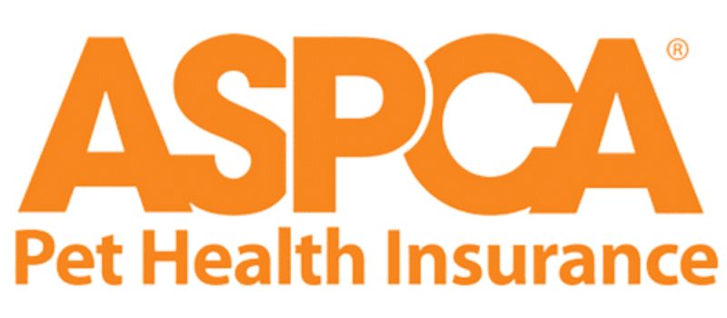 10 Best Pet Insurance for Cats (2025) - Unbiased Cost & Coverage ...