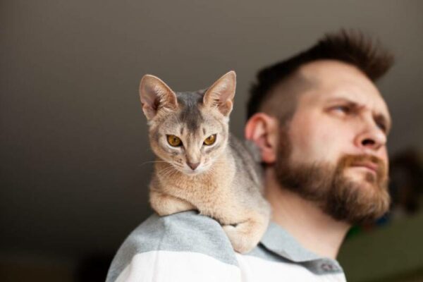 Do Cats Protect Their Owners? Vet-Verified Facts & Signs - Catster