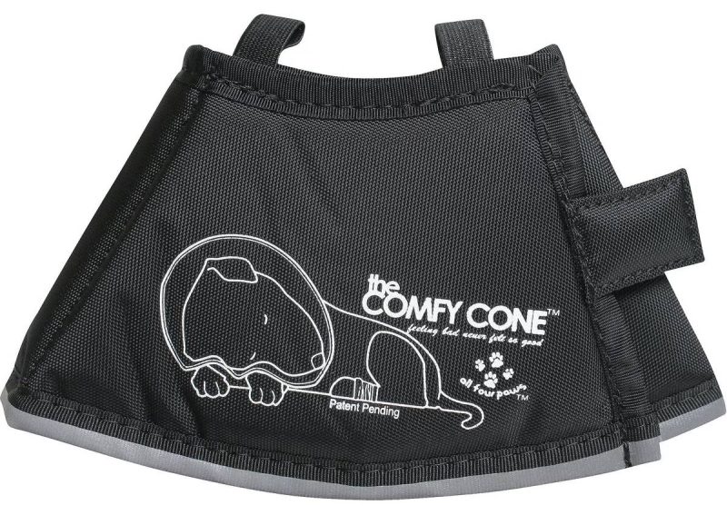 7 Best Cat Cone Collars of 2026: Reviews & Top Picks - Catster